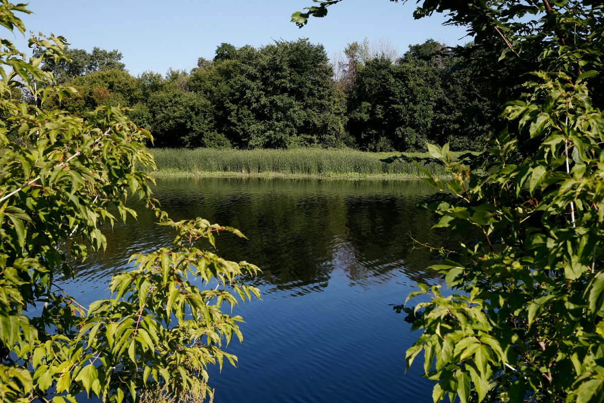 nature - Greystone Village